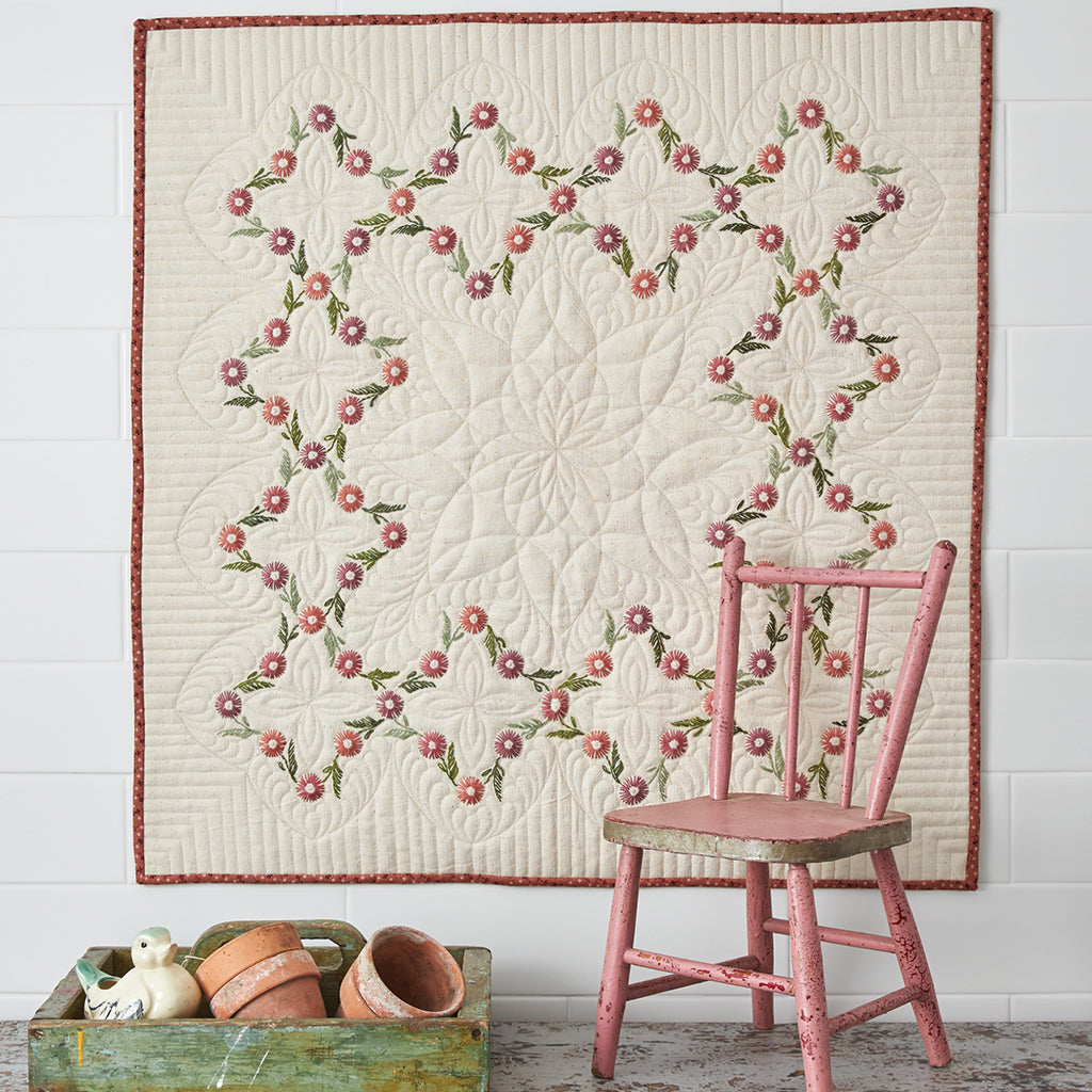 Lazy Daisies in Full Bloom – Buttermilk Basin