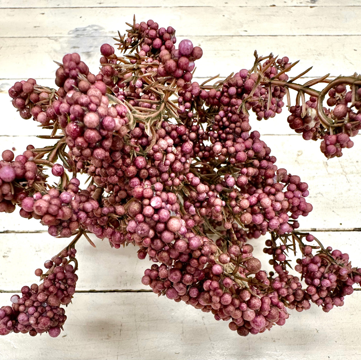 Small Purple Berry Flowers – Buttermilk Basin