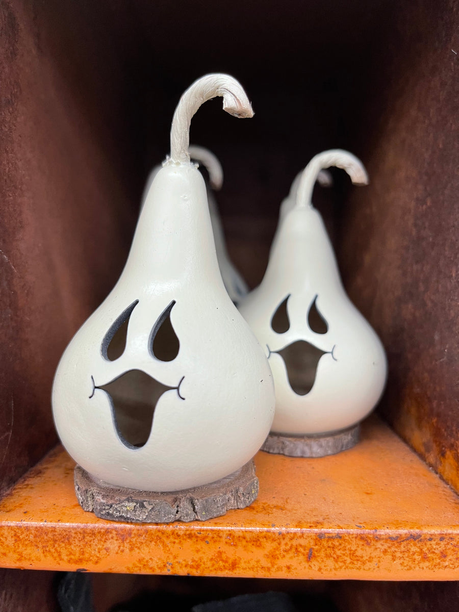 Small Ghost Gourd – Buttermilk Basin